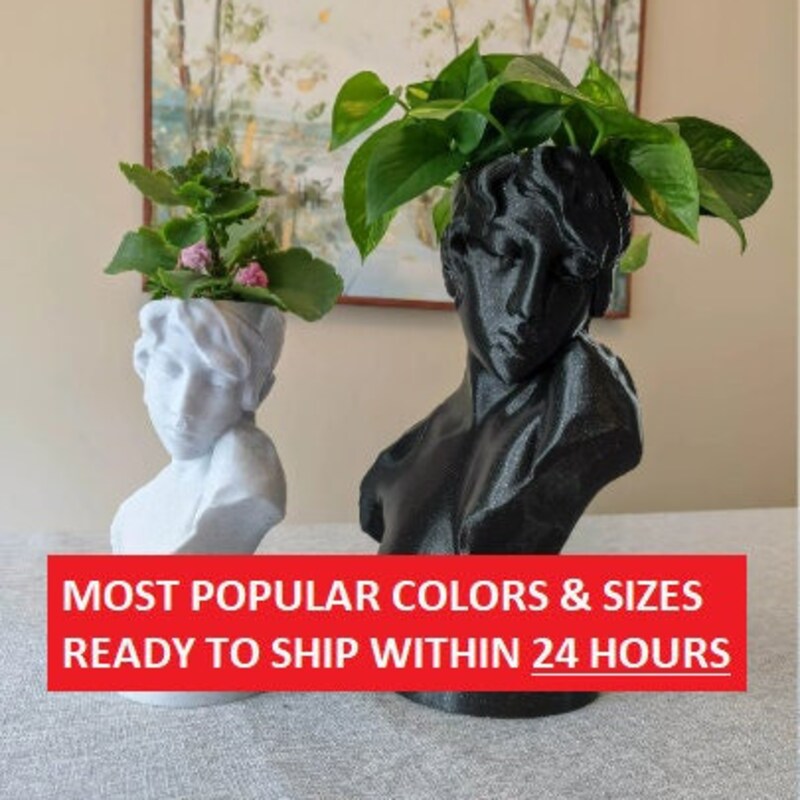 Bust Planter - Etsy