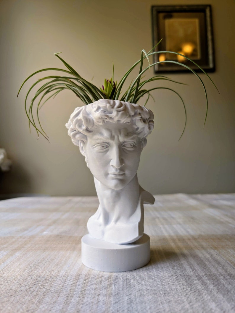QUICK SHIP David Bust Planter Pot for Plants Greek Heroic | Etsy