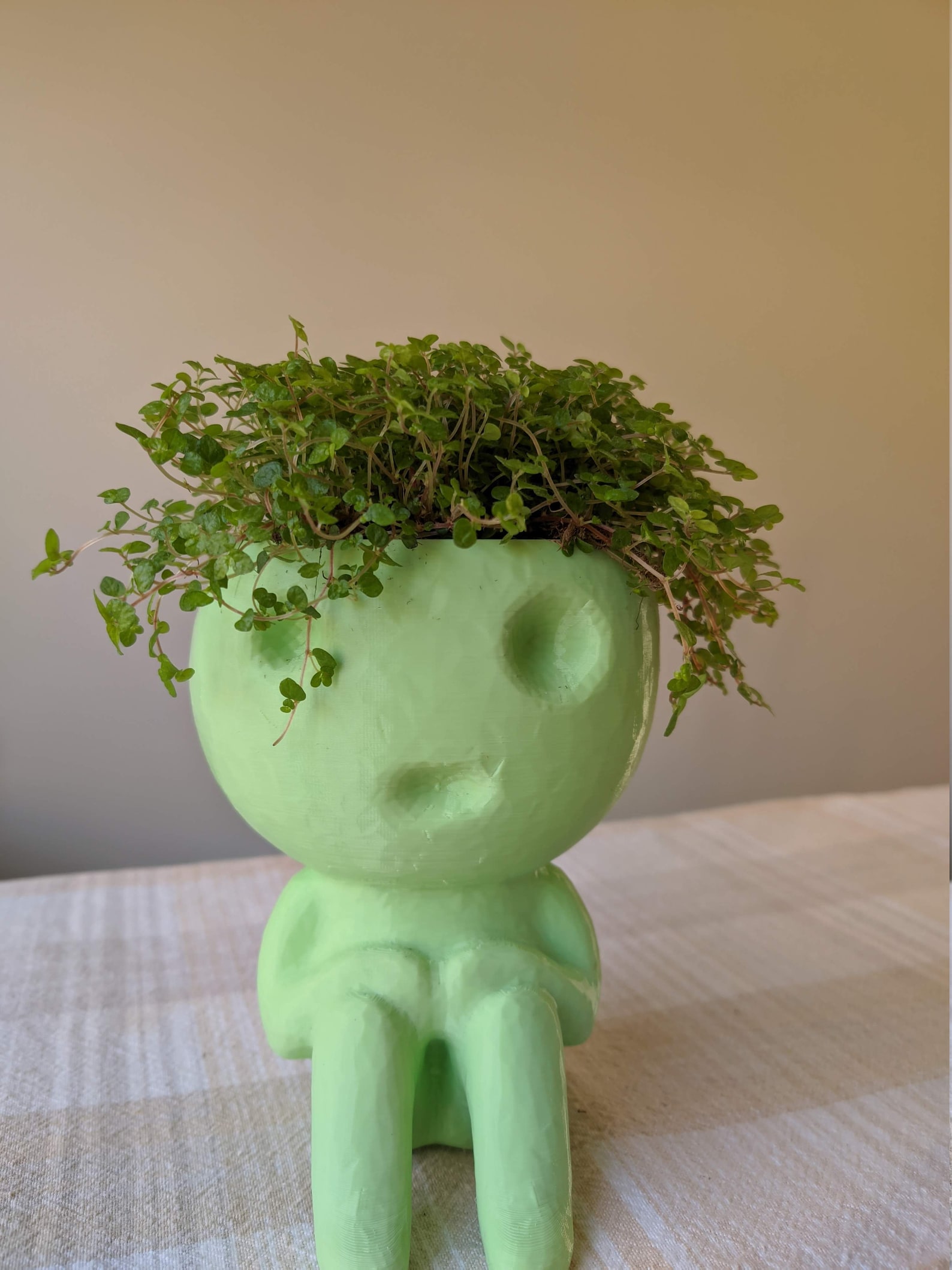 Sitting Kodama Planter Pot for Succulents Air Plants Other - Etsy