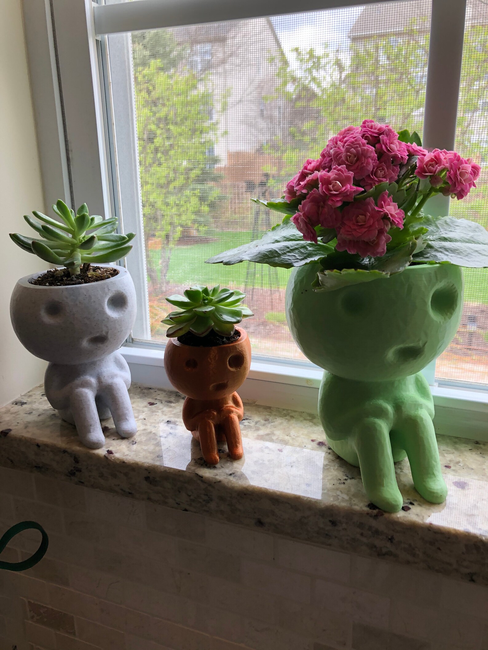 Sitting Kodama Planter Pot for Succulents Air Plants Other - Etsy