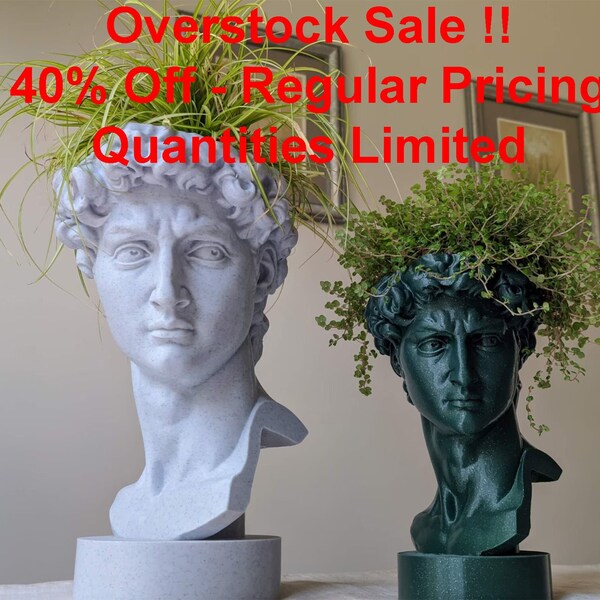 Bust Planter - Etsy