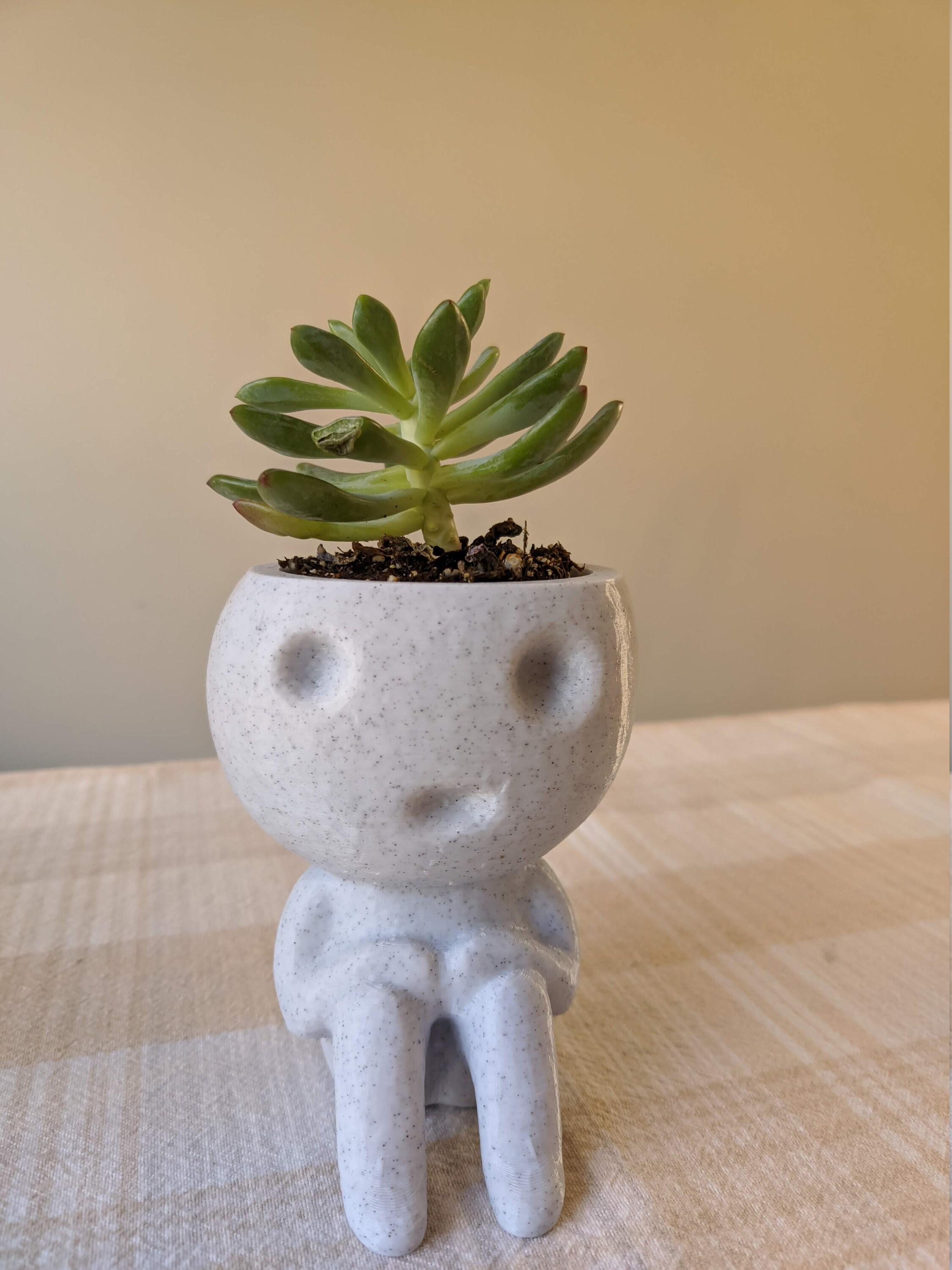 Sitting Kodama Planter Pot for Succulents Air plants Other | Etsy