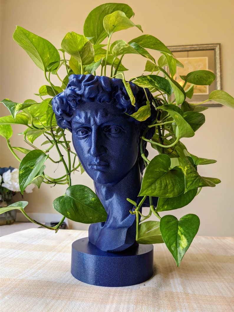 David Bust Planter Pot for Plants Greek Heroic Male - Etsy