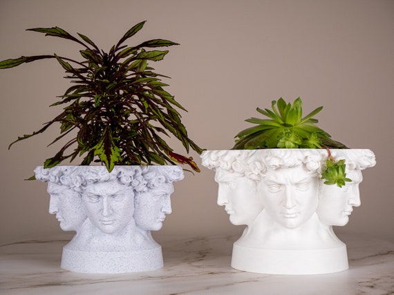 David Polyface Planter Pot for Plants Greek Heroic Male - Etsy