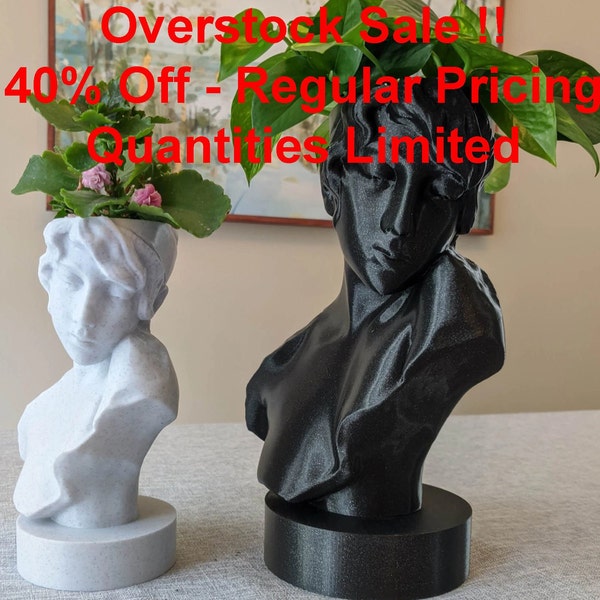 Bust Planter - Etsy