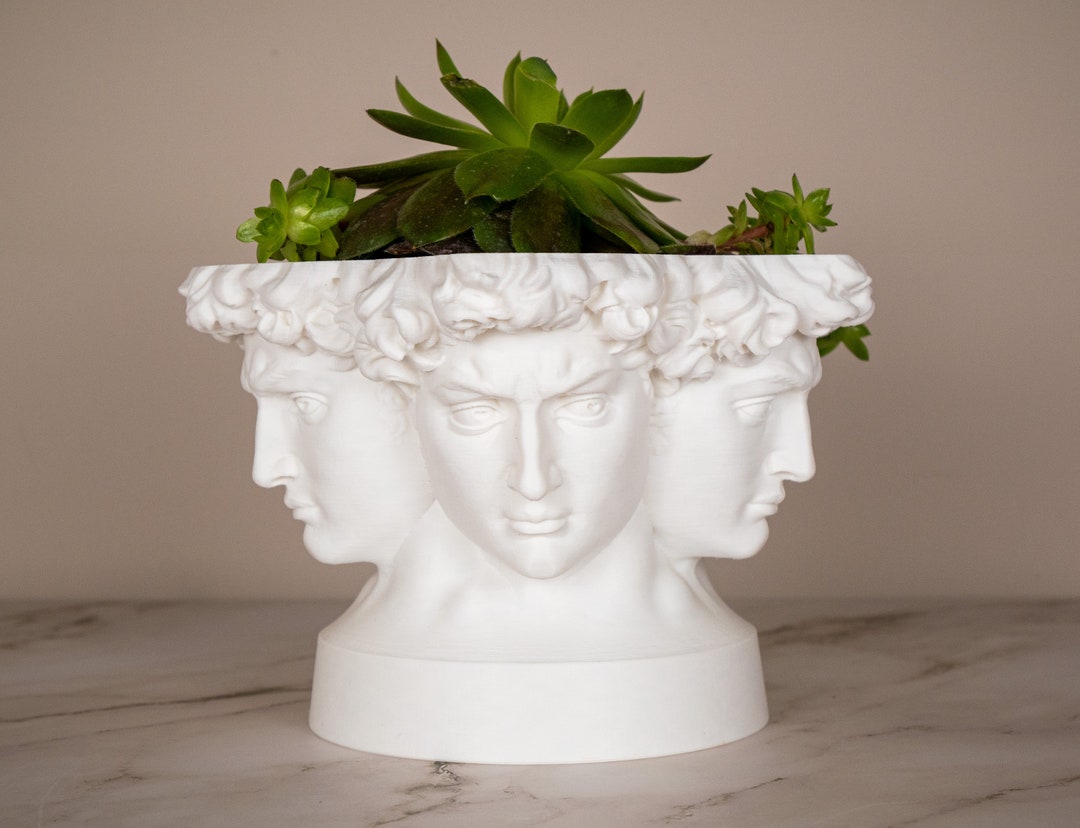 David Polyface Planter Pot for Plants | Greek Heroic Male | David's ...