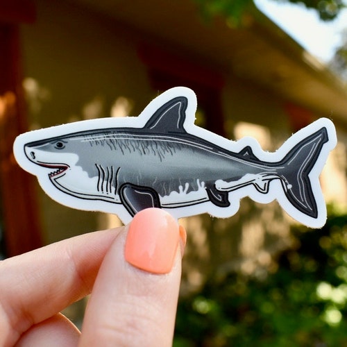 Great White Shark Sticker | Etsy