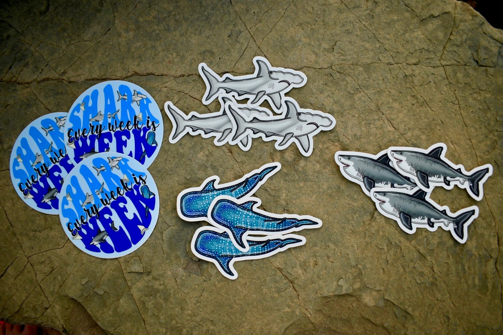 Every Week is Shark Week Sticker, Great White Shark Sticker, Hammerhead ...