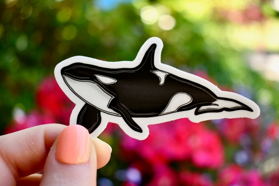 Orca Sticker Killer Whale Sticker Porpoise Sticker 3 in. | Etsy