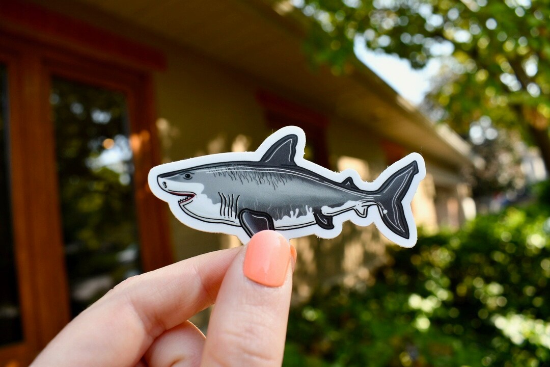 Great White Shark Sticker - Etsy