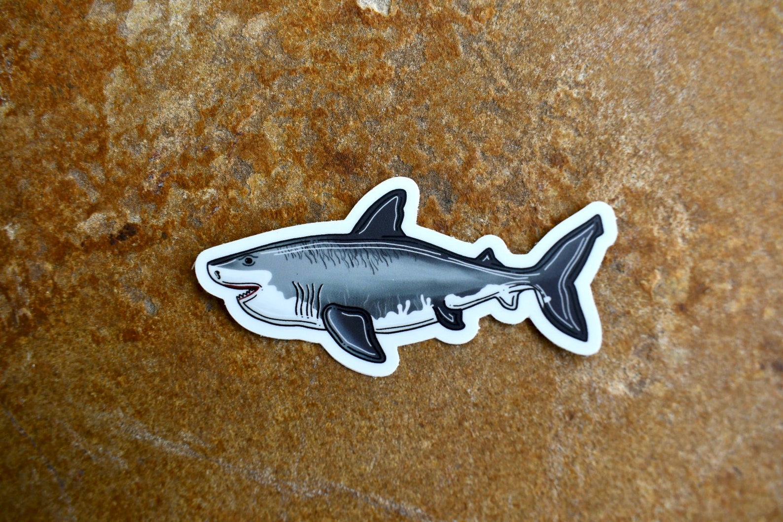 Great White Shark Sticker - Etsy