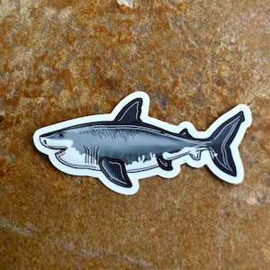 Great White Shark Sticker - Etsy