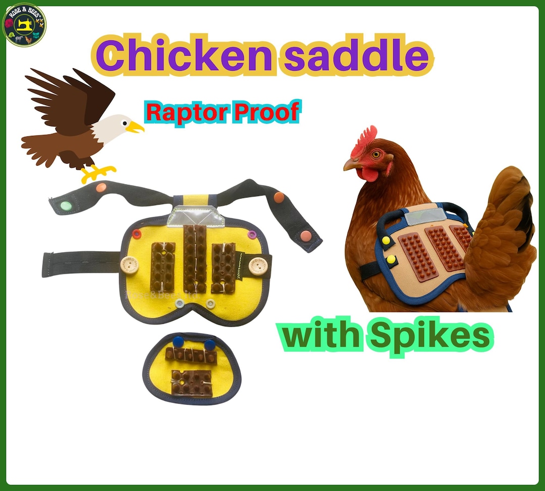 Chicken Saddle | Prevent Eagle Raptor Proof Chicken Vests Chicken ...