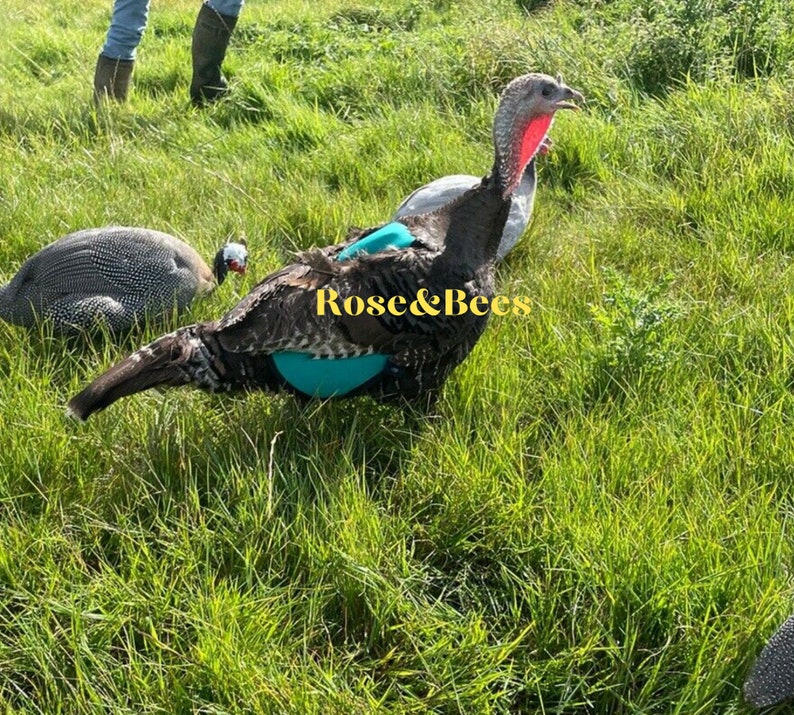 TURKEY SADDLE | Adjustable Stag Protector | Turkey Apron | Turkey ...