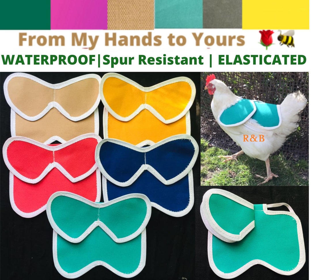 CHICKEN SADDLE | Chicken Apron| Hen Protector | Poulet | Henchen ...