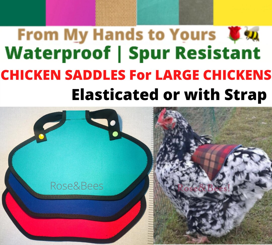 CHICKEN SADDLE | Hen Apron | WIDE | Large Poultry | Waterproof | Egg ...