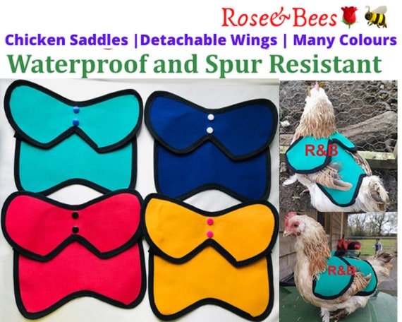 CHICKEN SADDLE Chicken Apron Hen Protector Waterproof - Etsy