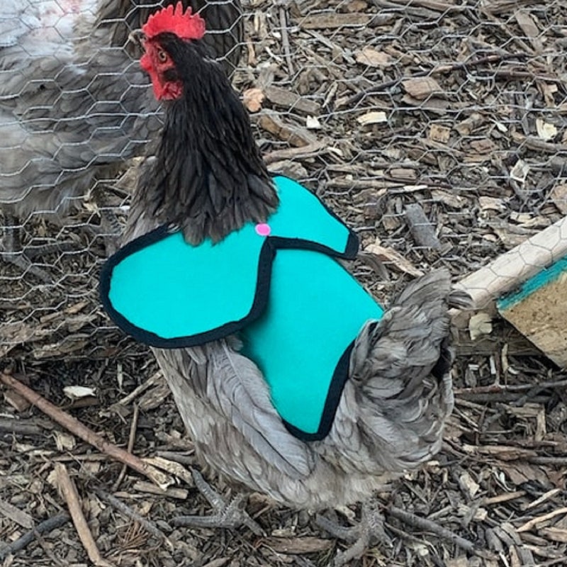 Chicken Saddle - Etsy