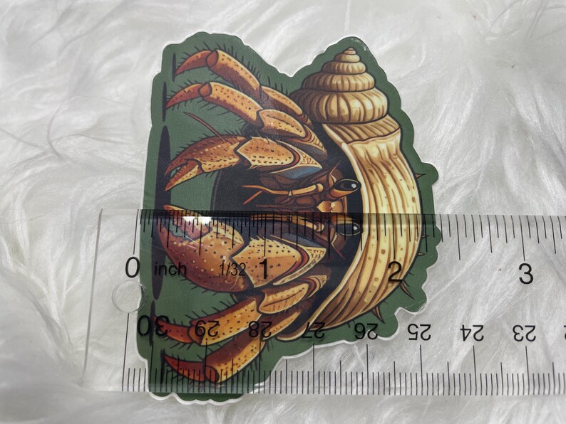 Sage Green and Spiky Hermit Crab Sticker - Etsy