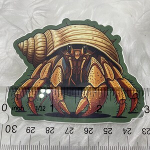 Sage Green and Spiky Hermit Crab Sticker - Etsy