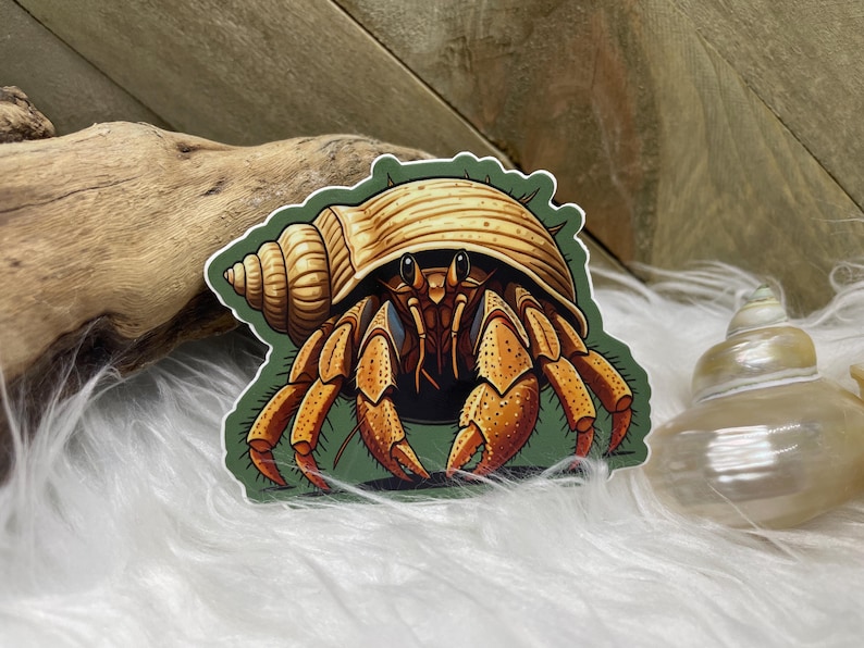 Sage Green and Spiky Hermit Crab Sticker - Etsy