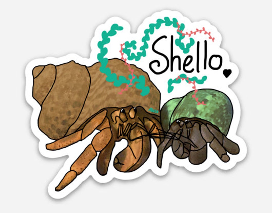 Shello Hermit Crab Vinyl Sticker! - Etsy