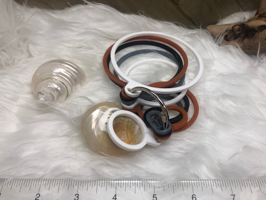 The ORIGINAL Hermit Crab Shell Gauges Round Shell Measuring Tool ...