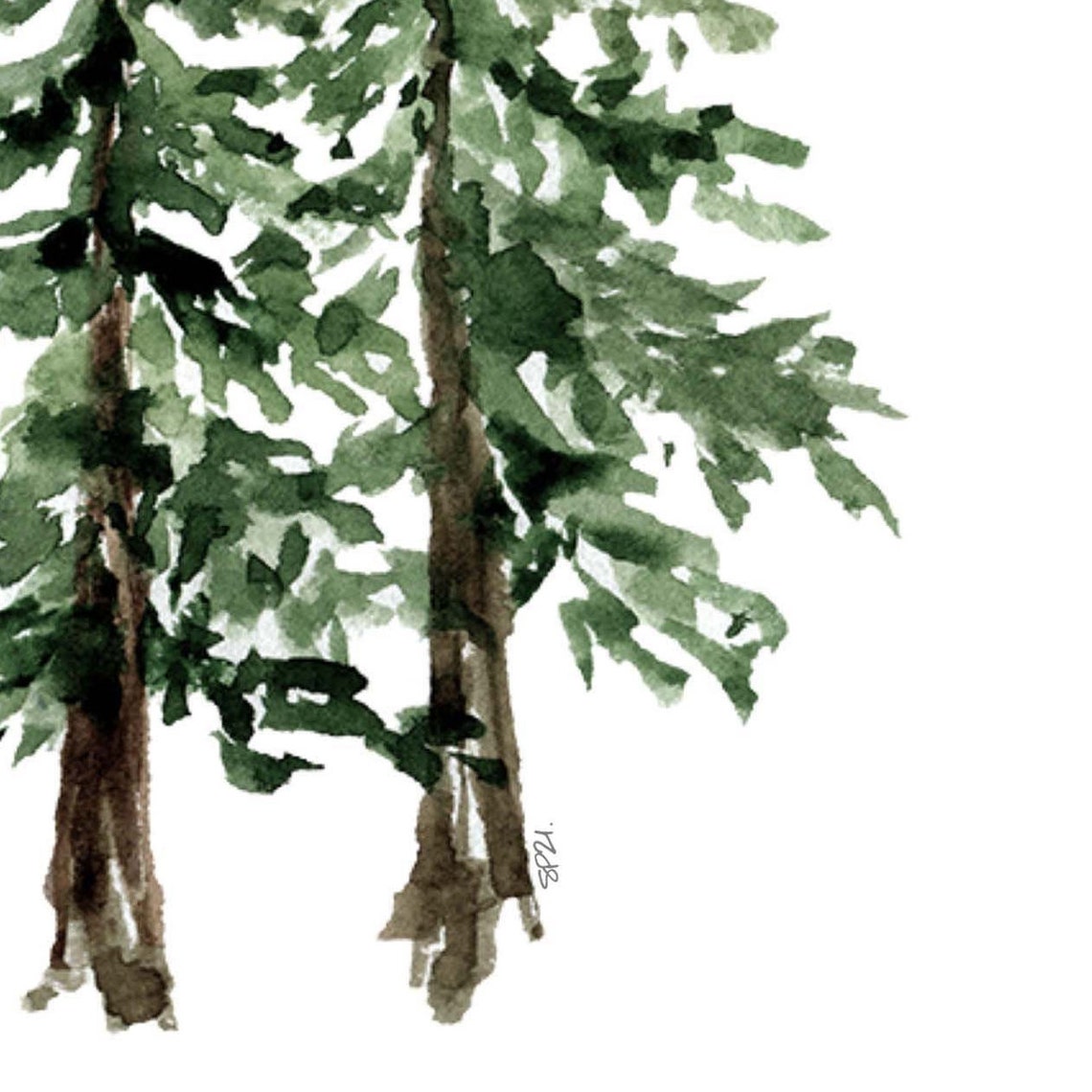 Watercolor Pine Tree Art Watercolor Evergreen Pine Tree Wall - Etsy