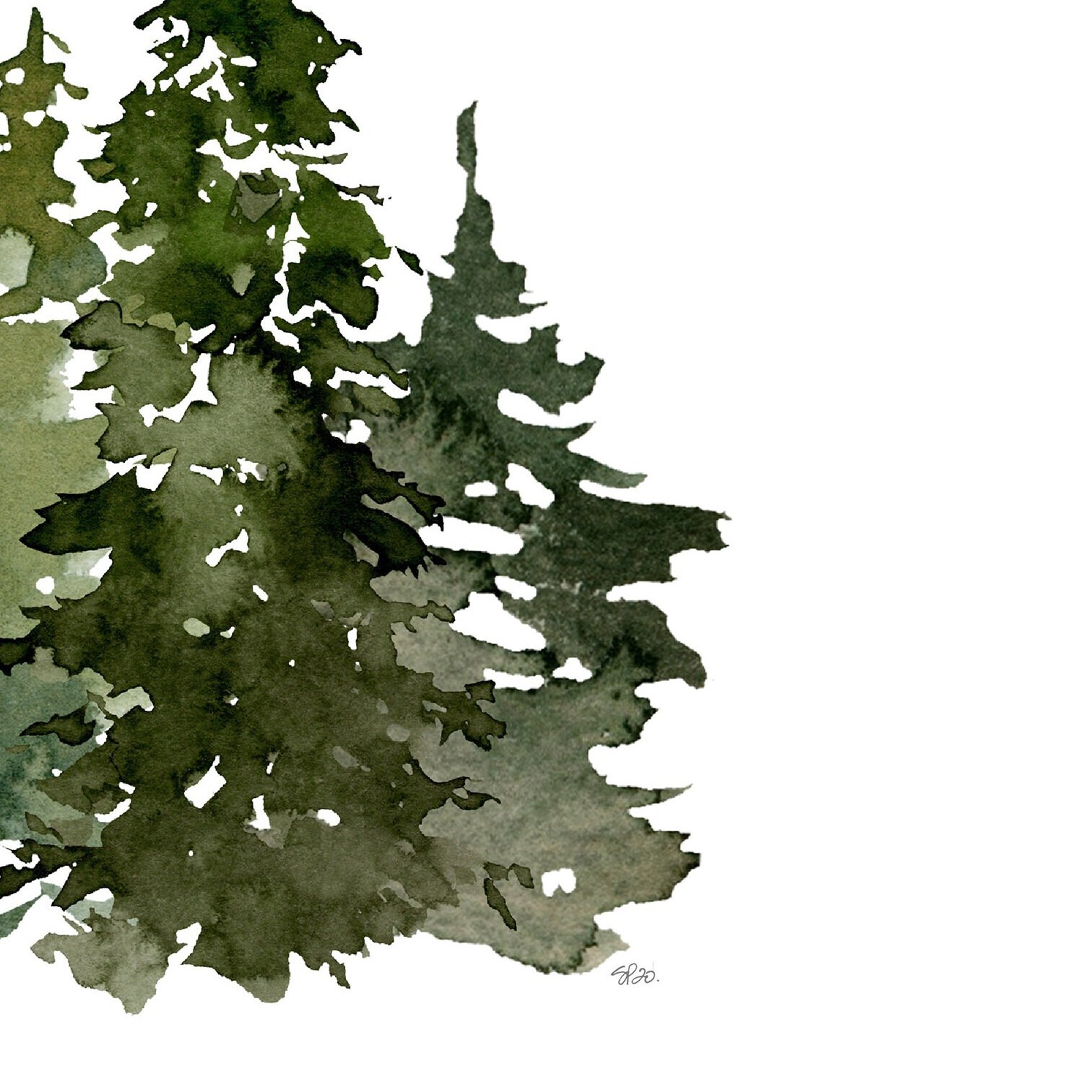 Watercolor Pine Tree Art Evergreen Tree Print Pine Tree Wall - Etsy