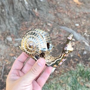 Super Mini Snail Skull #16 - Chrome Plated Art - Etsy