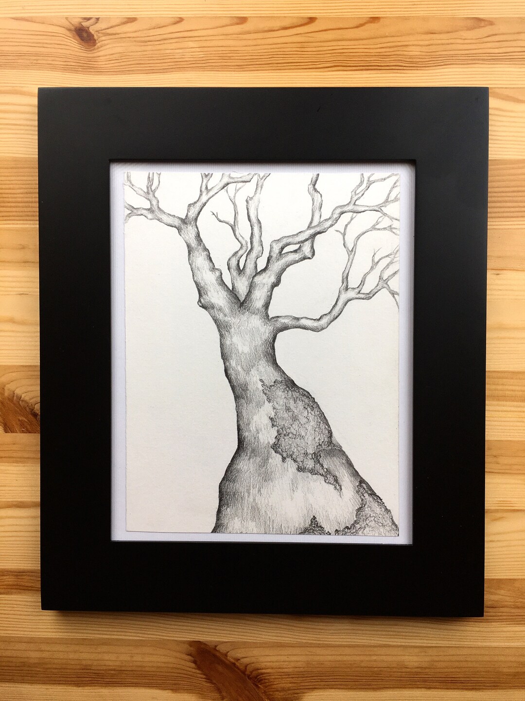Graphite Oak Tree - Etsy