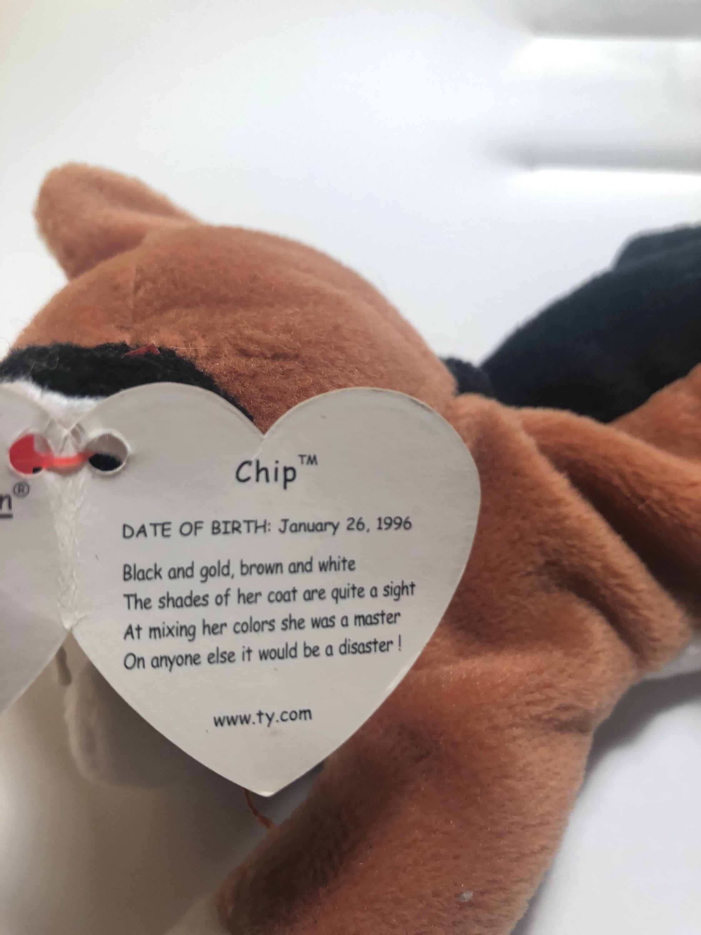 CHIP the Cat Original Beanie Baby - Etsy