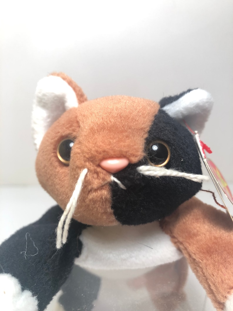 CHIP the Cat Original Beanie Baby - Etsy
