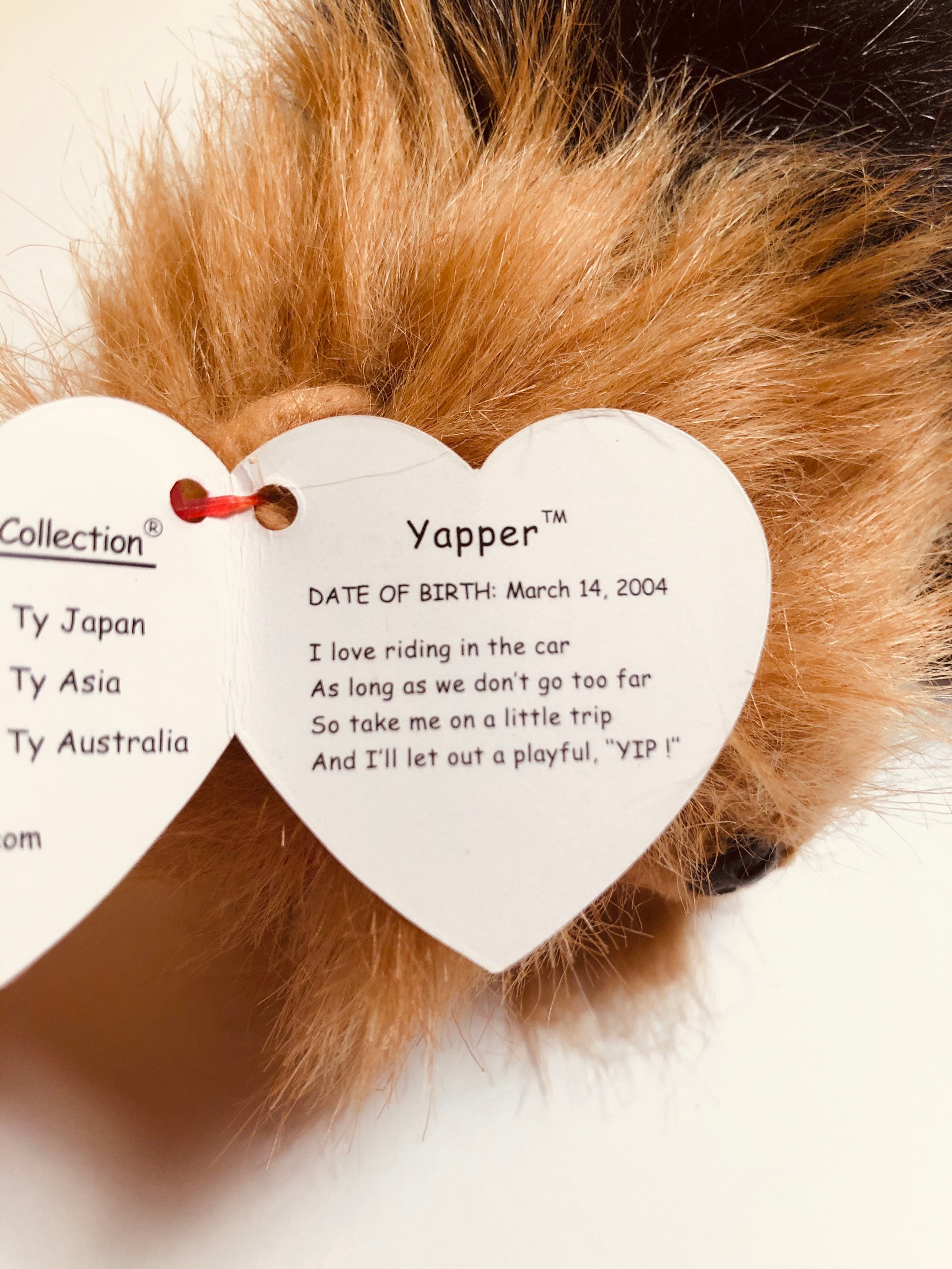 YAPPER the Dog Beanie Baby - Etsy