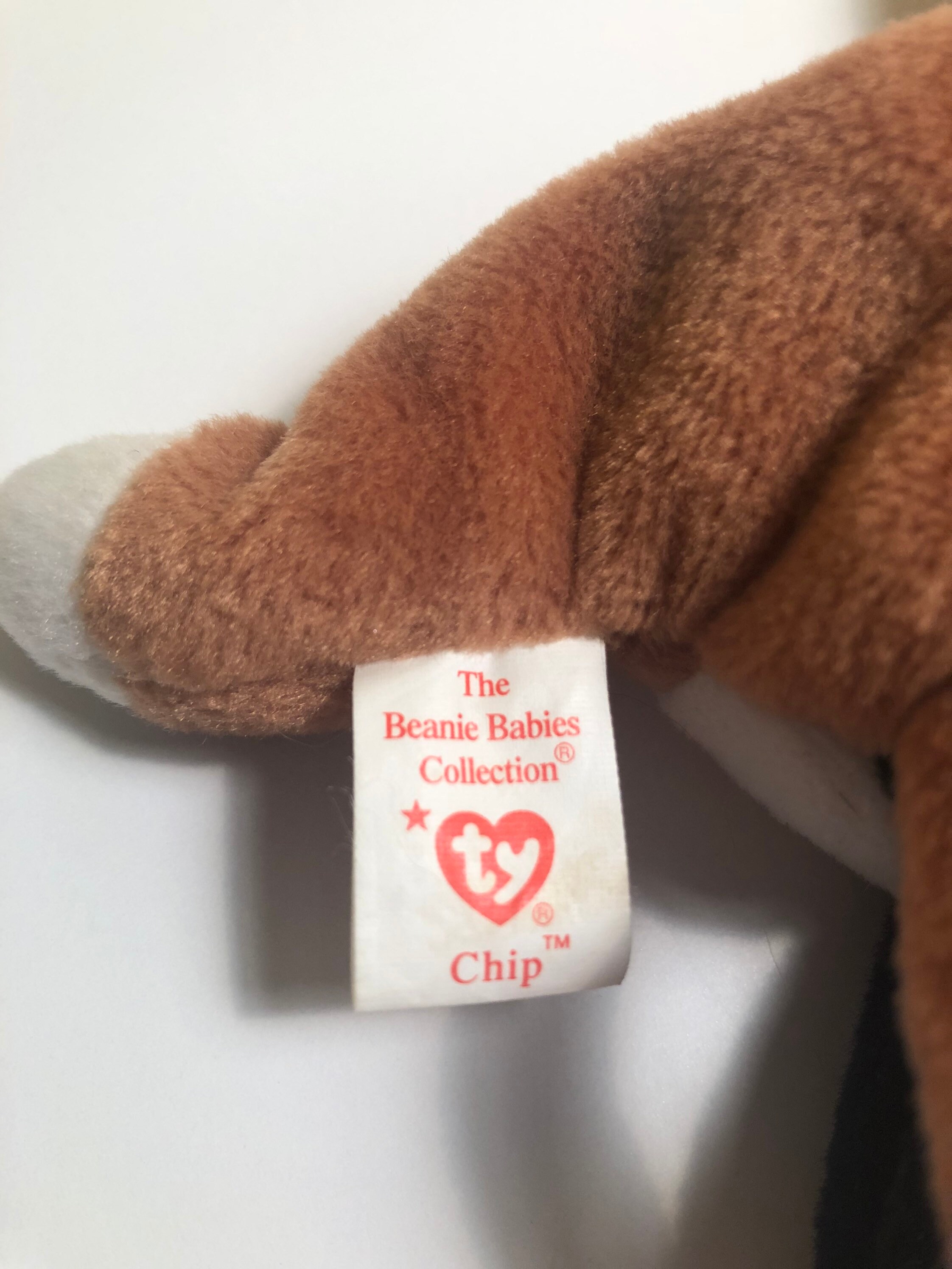CHIP the Cat Original Beanie Baby - Etsy