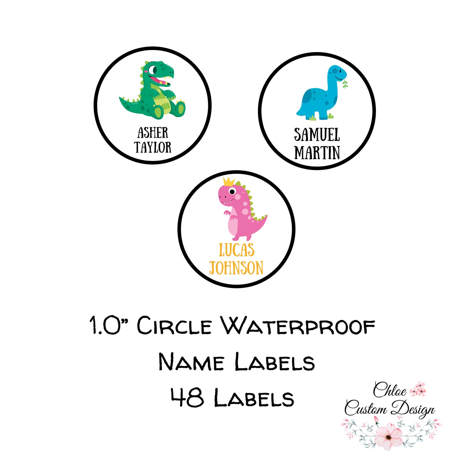 Name Labels Variety Pack Dinosaur Name Labels Dino Custom - Etsy