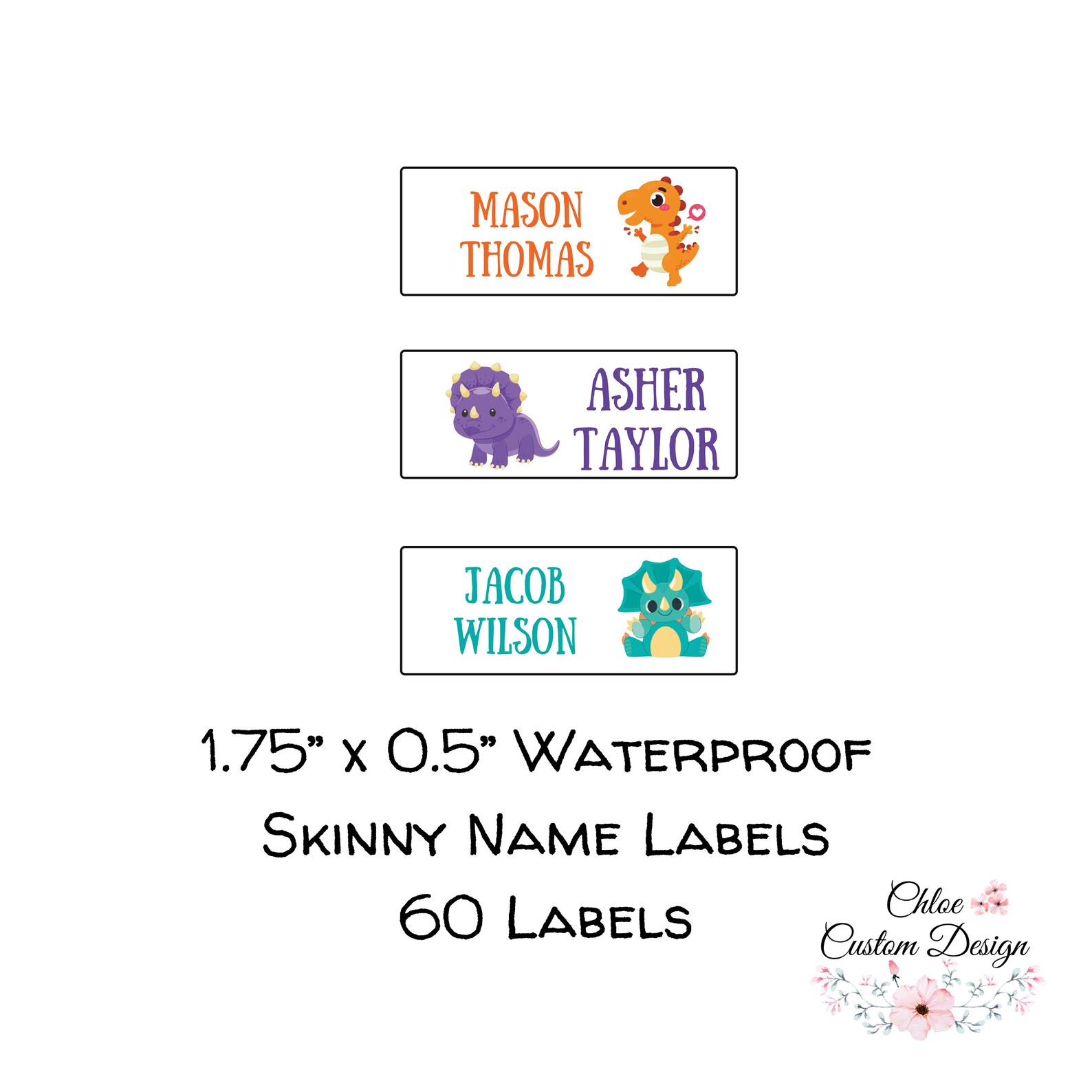 Name Labels Variety Pack Dinosaur Name Labels Dino Custom | Etsy