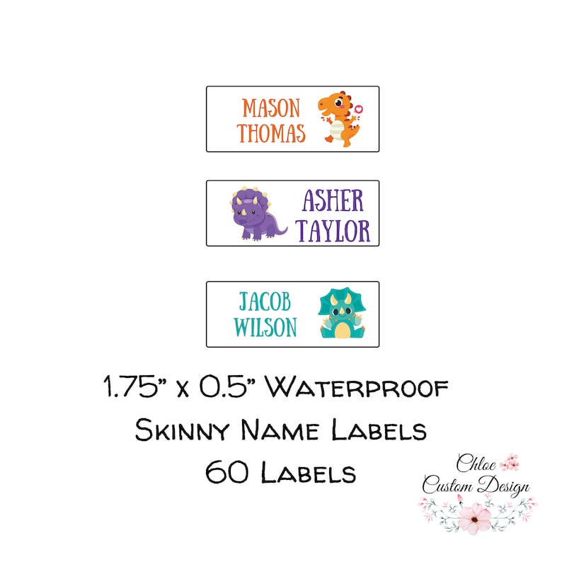 Name Labels Variety Pack Dinosaur Name Labels Dino Custom | Etsy