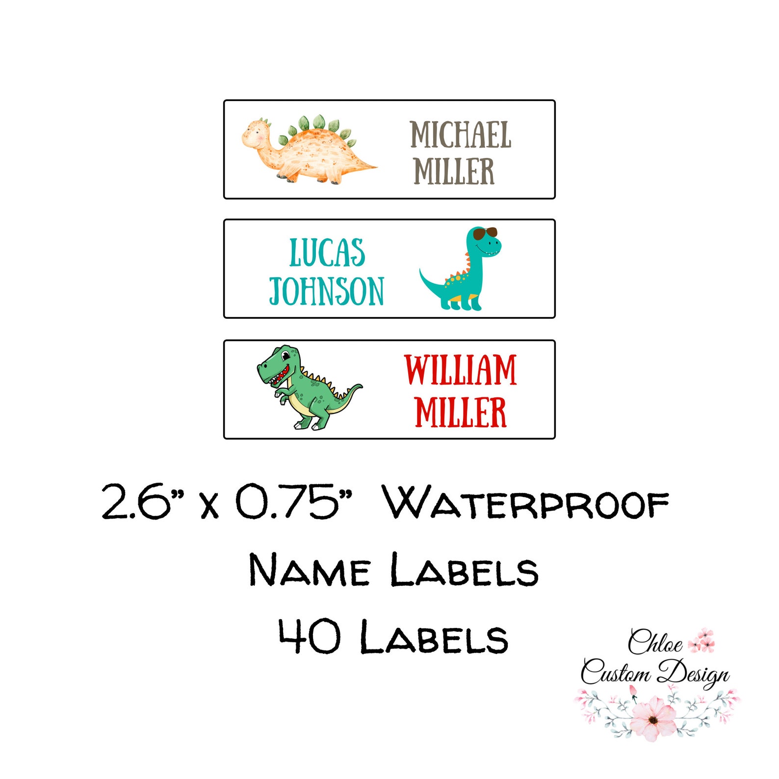 Name Labels Variety Pack | Dinosaur Name Labels | Dino Custom Stickers ...