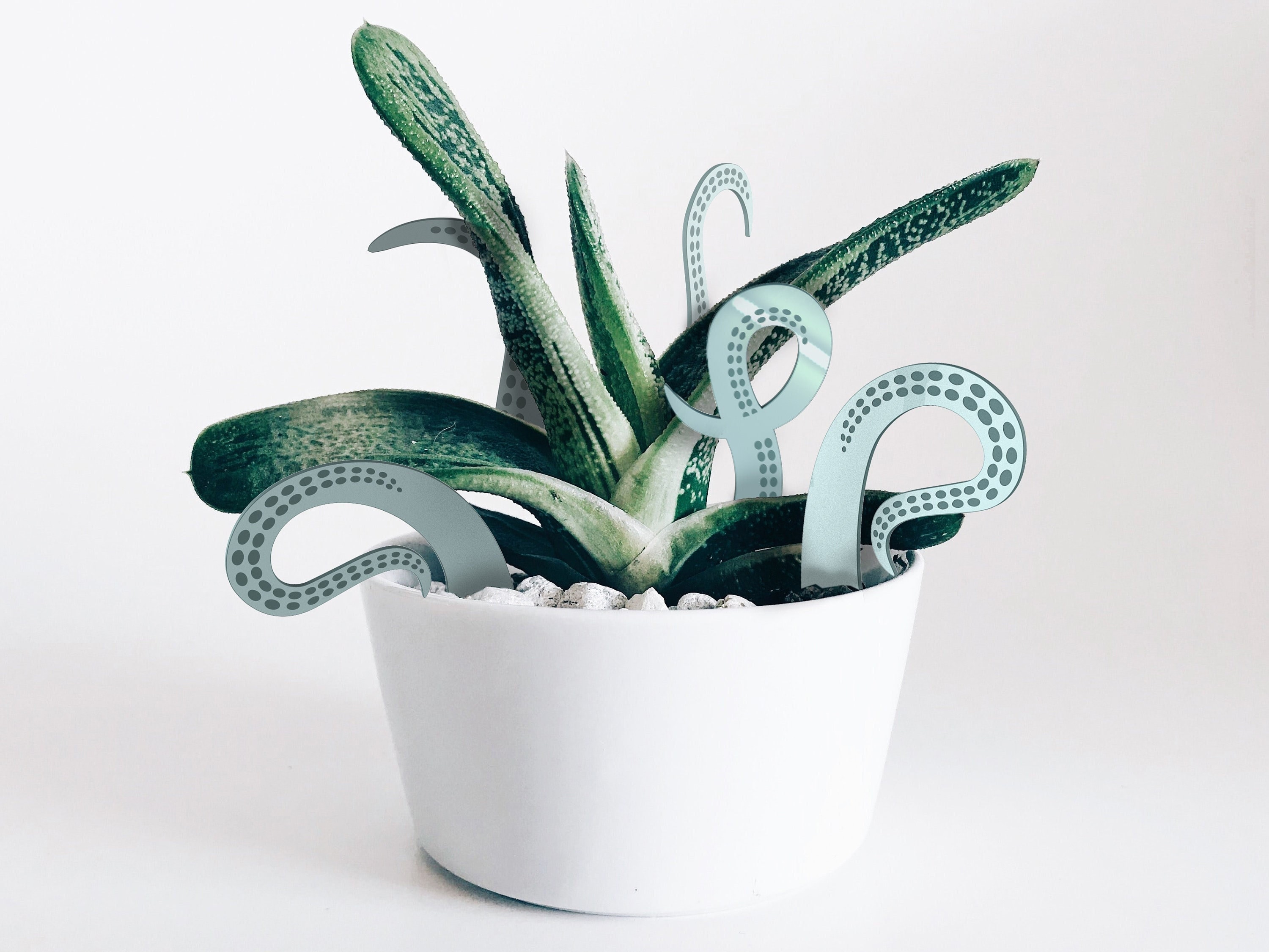 Plant Monster | Octopus Tentacles Plant Pot Spike Decoration ...