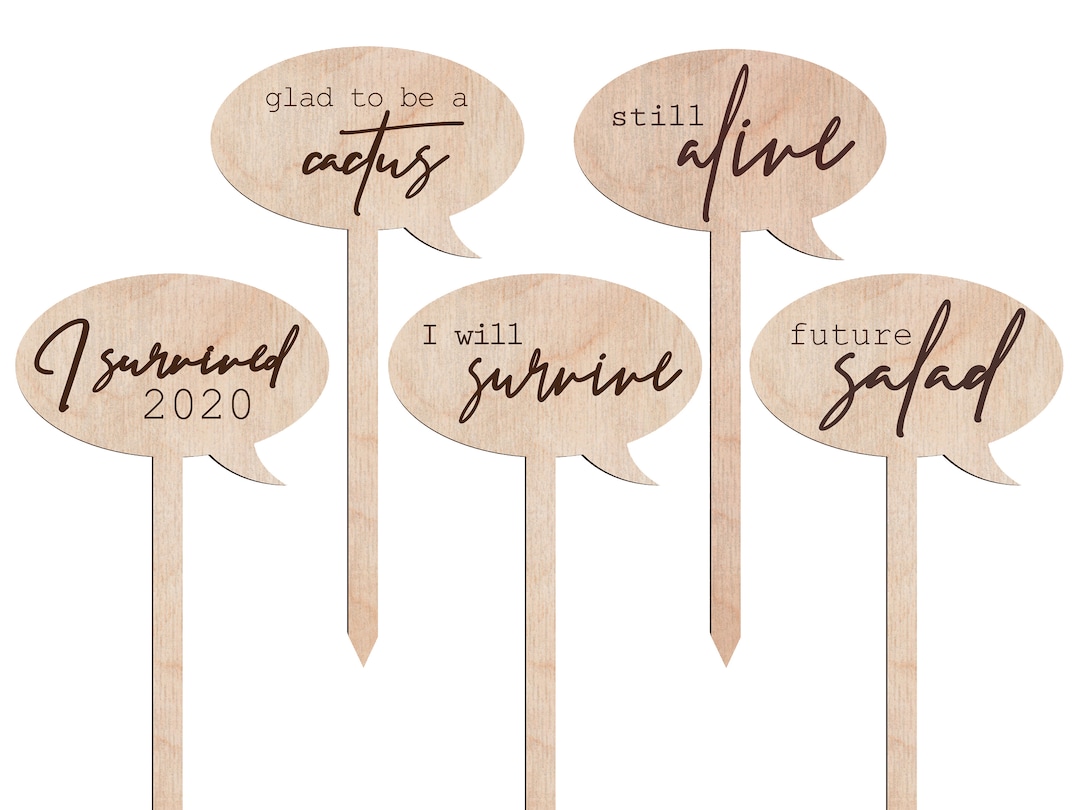 Funny Plant Signs, Fun House Plant Decorations - Set of 5 - Svg Laser ...