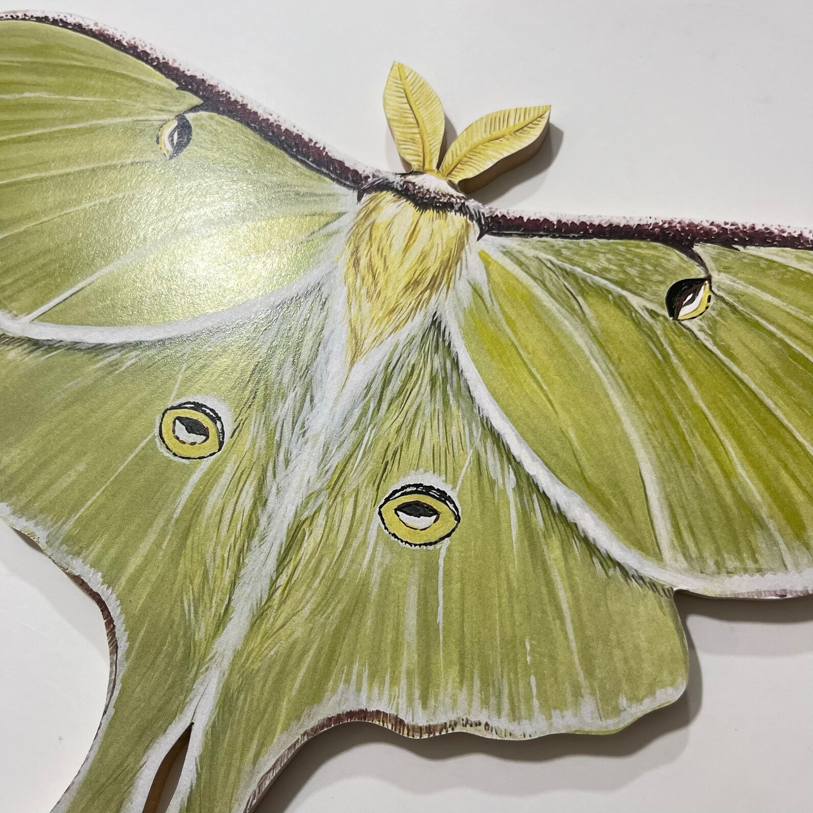 Luna Moth Print Wood Cutout | Wall Art | Cottage Core and Boho Decor ...
