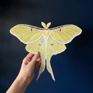 Luna Moth Print Wood Cutout | Wall Art | Cottage Core and Boho Decor ...