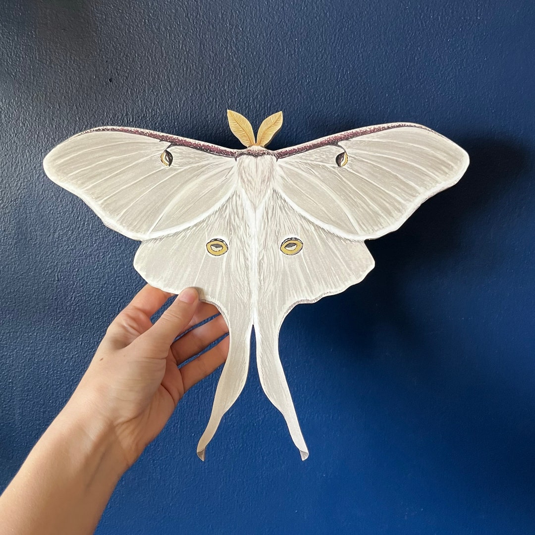White Luna Moth Print Wood Cutout | Wall Art | Cottage Core and Boho ...