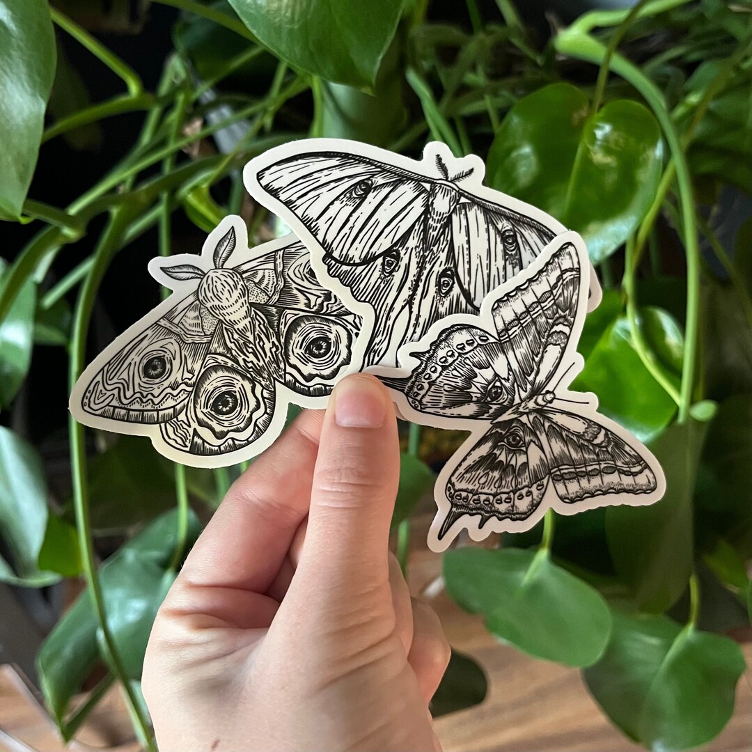Illustrated Moths Sticker Pack - Etsy
