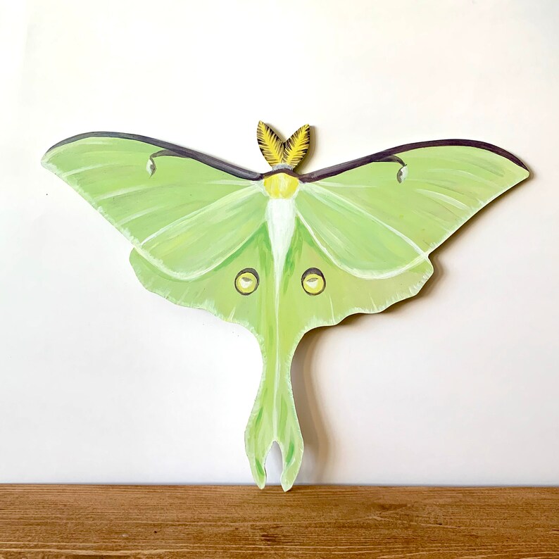 Hand-painted Luna Moth Wall Art Cottage Core and Boho - Etsy