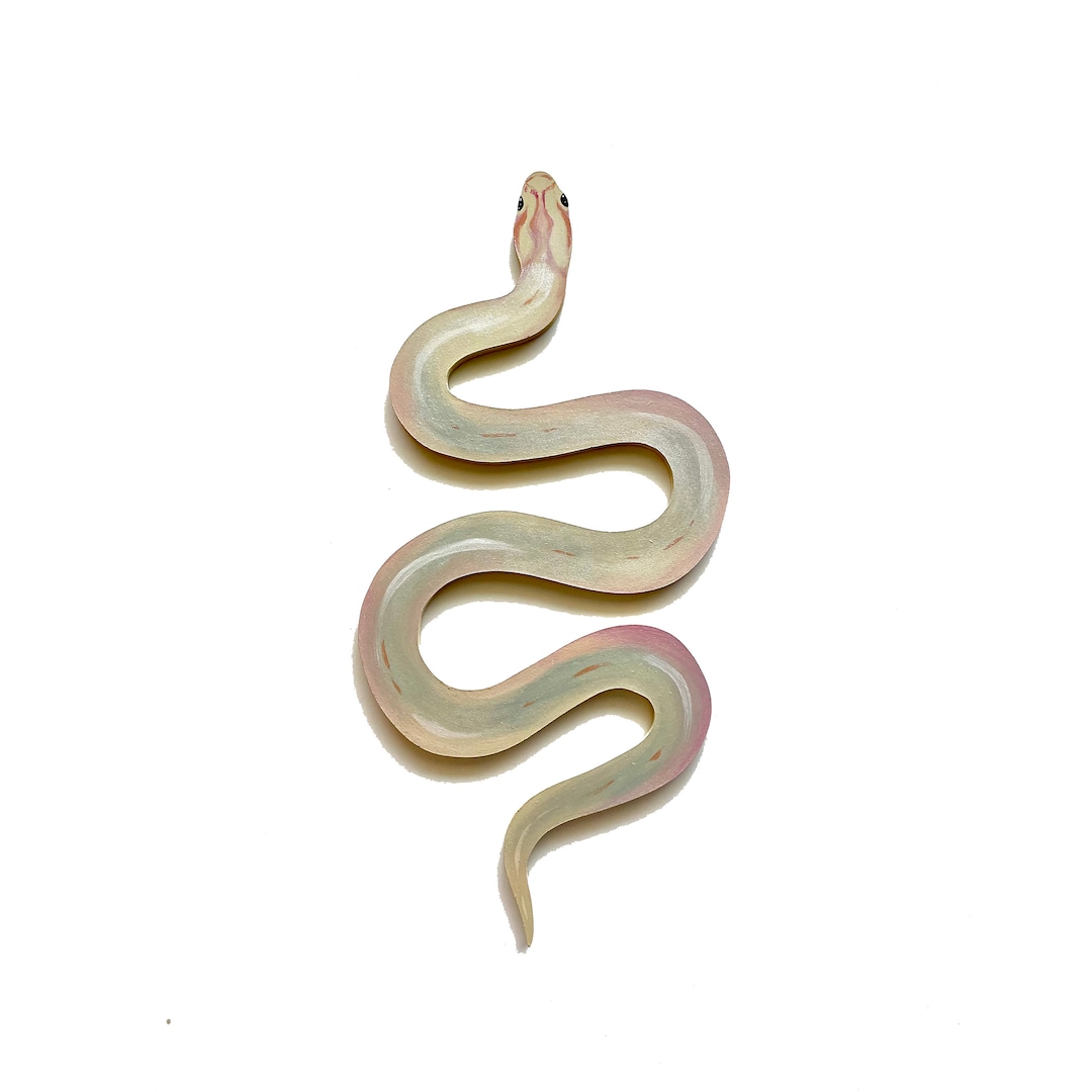 Hand-painted Iridescent Ball Python Snake | Wall Decor | Boho and ...