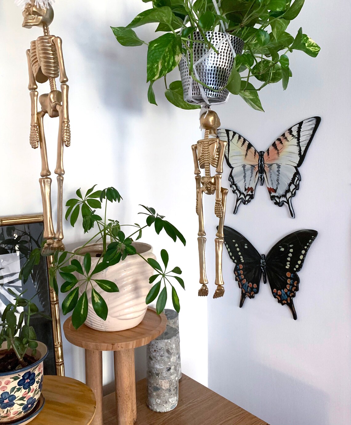 Hand-painted Spotted Tree Nymph Backside Butterfly Wall Art - Etsy