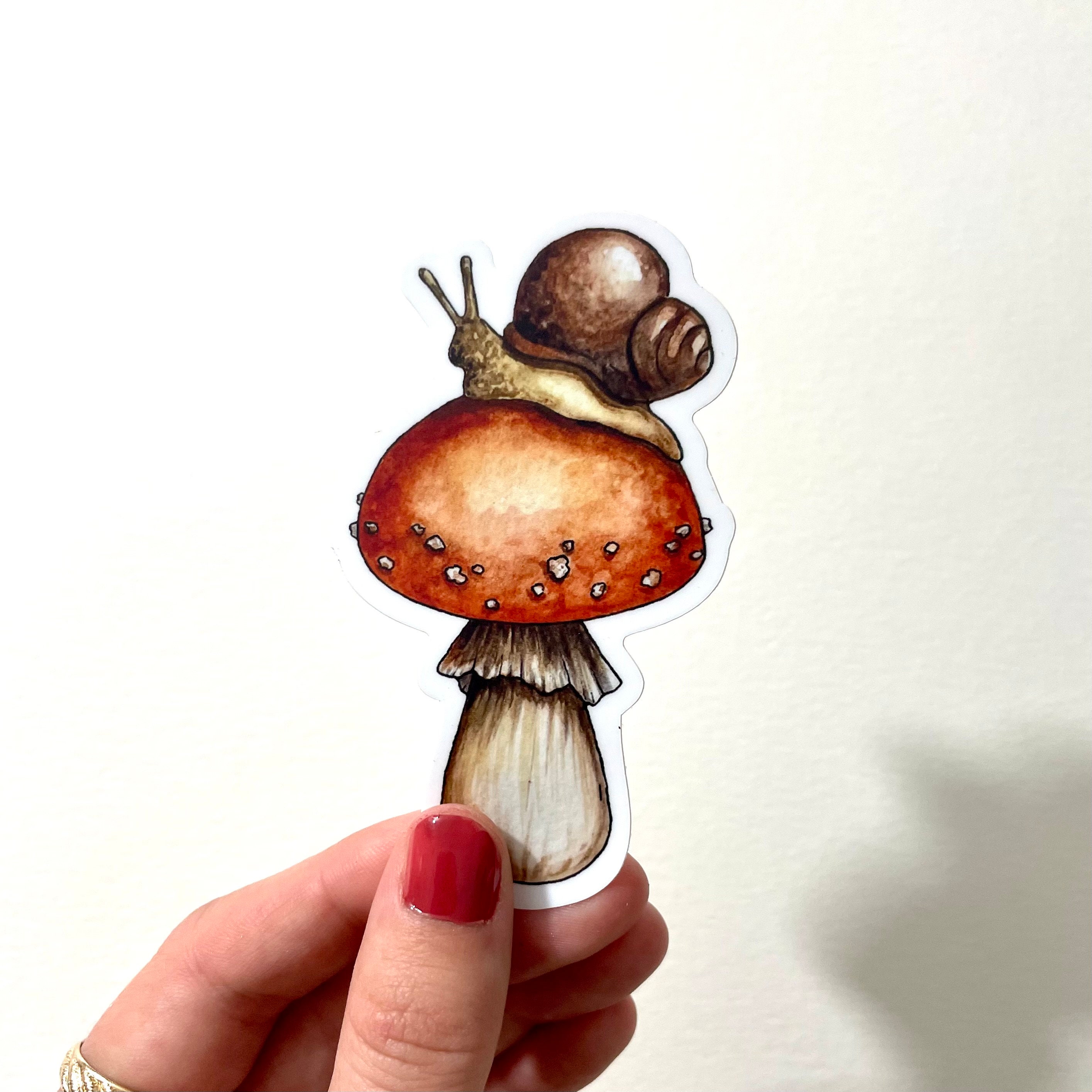 Snail and Mushroom Sticker | Etsy