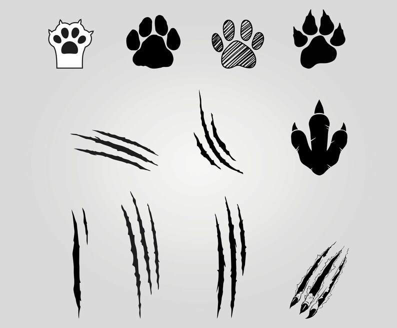 Paw Print Svg Scratch Mark Svg Dog Svg Paw Svg Dog Paw SVG | Etsy